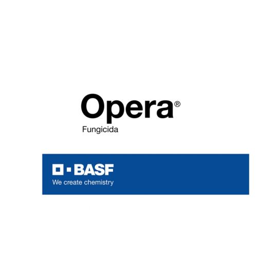 Campo Simple I Fungicidas